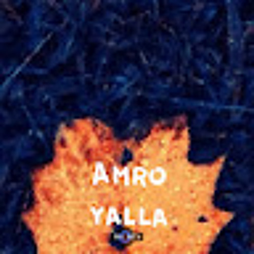 Stream Amro Now music | Listen to songs, albums, playlists for free on ...
