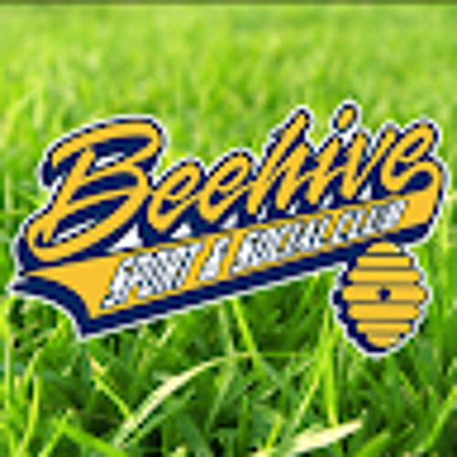 Stream Beehive Sports and Club music | Listen to songs, albums ...