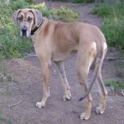 Stream Heather Snook music | Listen to songs, albums, playlists for ...