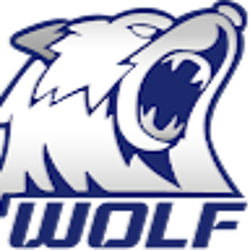 Stream WLS Wolf Logistics music | Listen to songs, albums, playlists for free on SoundCloud