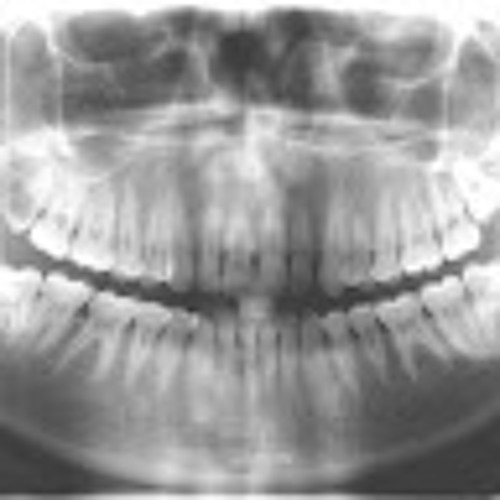 Stream Jx$ music | Listen to songs, albums, playlists for free on SoundCloud