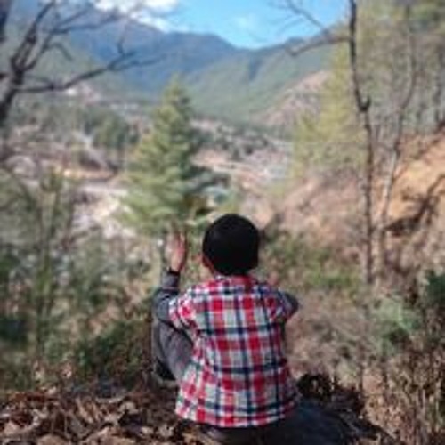 Stream Kinley T Gyeltshen music | Listen to songs, albums, playlists ...