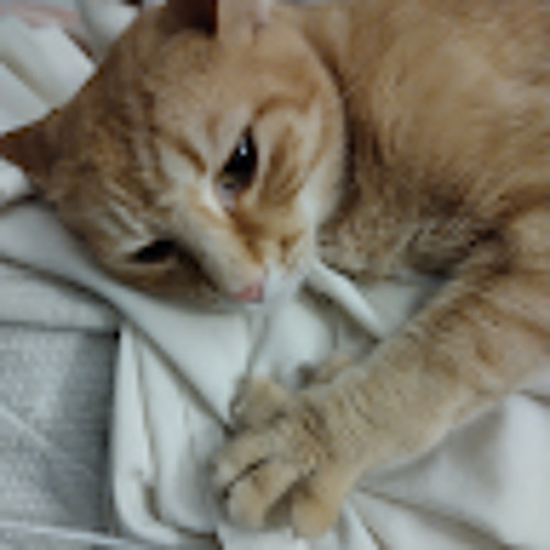 Stream Alexis Ingram music | Listen to songs, albums, playlists for ...