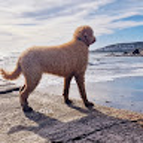 Stream Samuel Truby (TrUbY XD) music | Listen to songs, albums ...