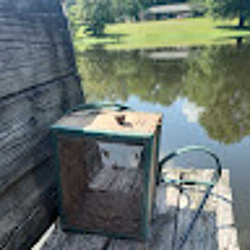 Stream April Slaughter music | Listen to songs, albums, playlists for ...