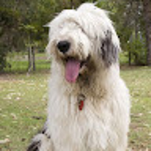 Stream Penelope Thomas music | Listen to songs, albums, playlists for ...