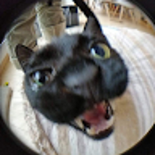 Stream Denise Baez music | Listen to songs, albums, playlists for free ...