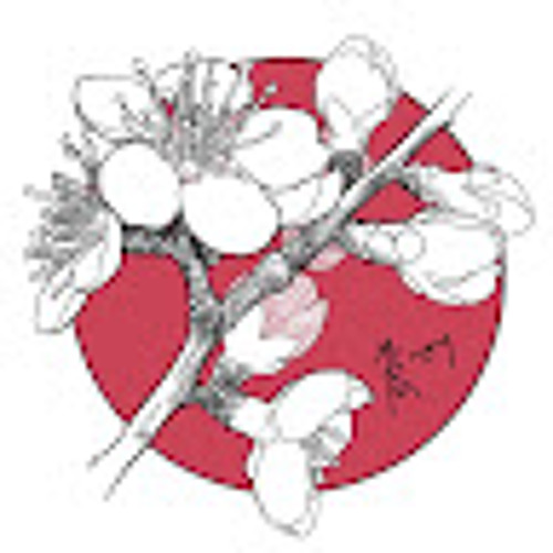 Stream Ailin Belen Pinasco Abud music | Listen to songs, albums ...