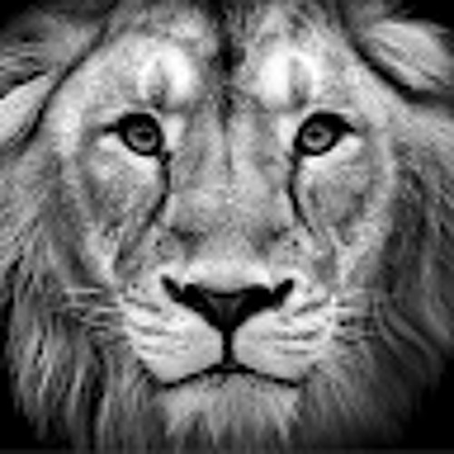 Stream DJ Velez Leon music | Listen to songs, albums, playlists for ...