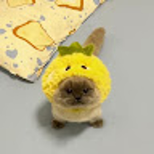 Stream bilbus music | Listen to songs, albums, playlists for free on ...