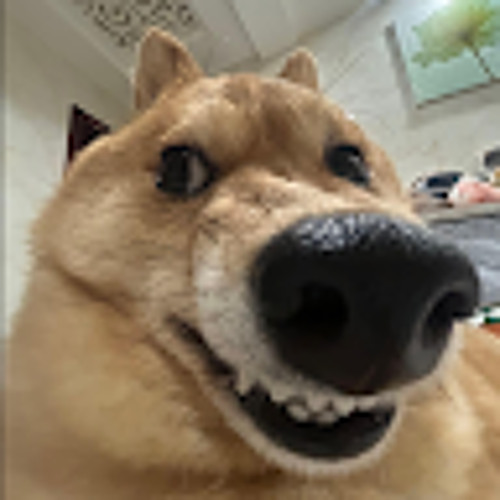 Stream Tam Tran music | Listen to songs, albums, playlists for free on ...