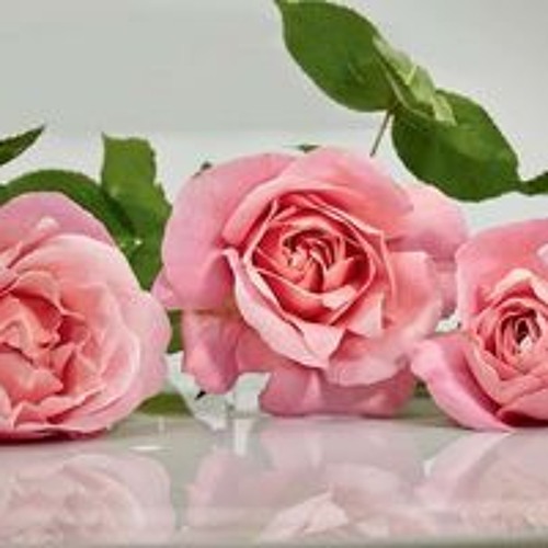 Stream Om Omar music | Listen to songs, albums, playlists for free on ...