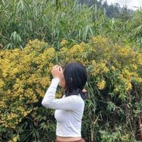 Stream Pema Choki music | Listen to songs, albums, playlists for free ...