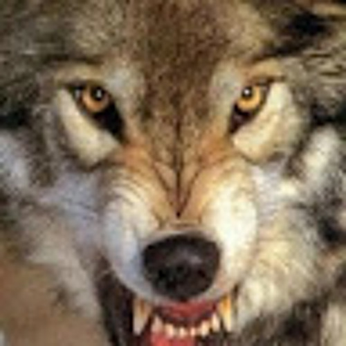 Stream Eric Cromwell | Listen to podcast episodes online for free on ...