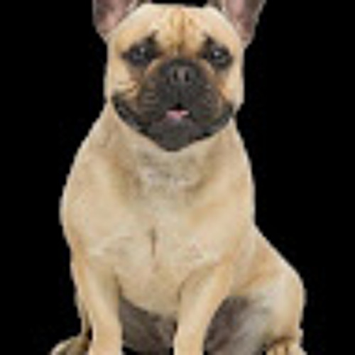 Stream Emily syme 2024 music | Listen to songs, albums, playlists for ...