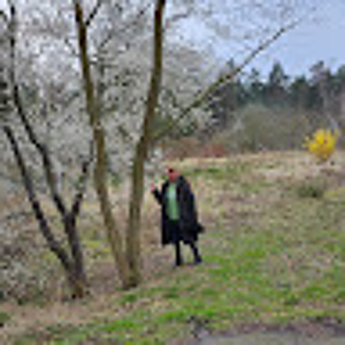 Stream Nicole Knauer music | Listen to songs, albums, playlists for ...