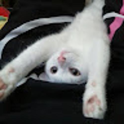 Stream Daniel Rucha | Listen to Electronic set's playlist online for ...