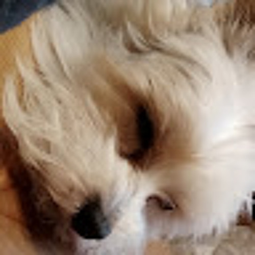 Stream Fanda Kastner music | Listen to songs, albums, playlists for ...