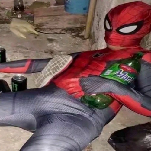 Stream schlongdong music | Listen to songs, albums, playlists for free ...