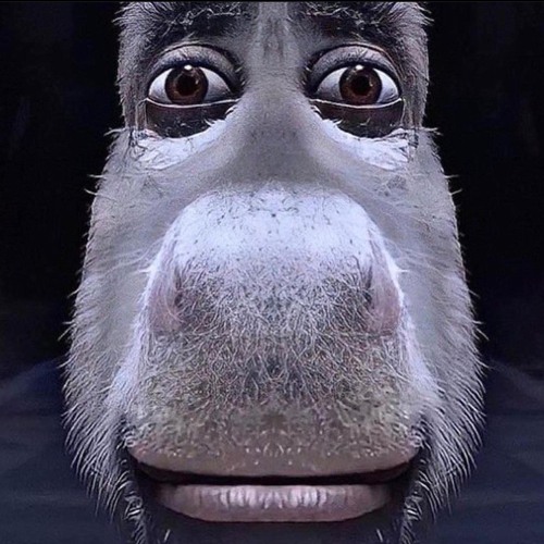 Stream An Nabelle music | Listen to songs, albums, playlists for free ...