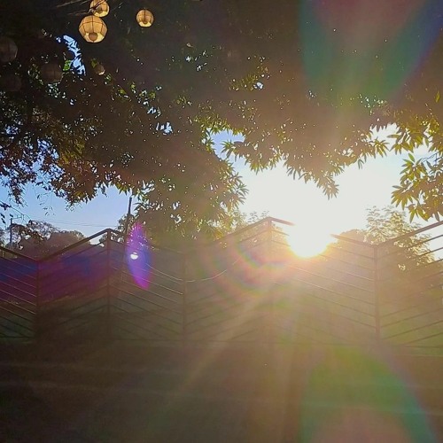 Stream Alonica music | Listen to songs, albums, playlists for free on ...