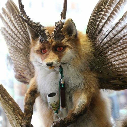 Stream Wolpertinger music | Listen to songs, albums, playlists for free ...