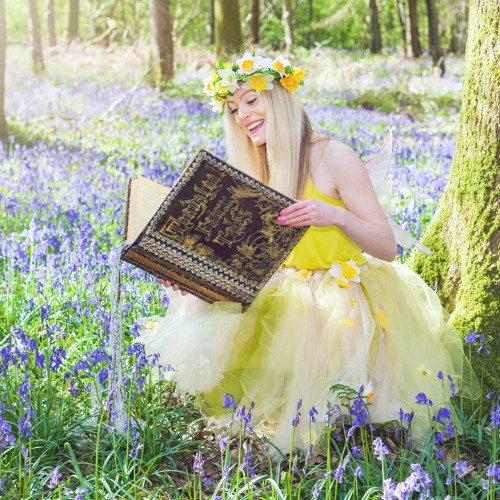 Stream Fairy Sarah and Friends | Listen to audiobooks and book excerpts ...