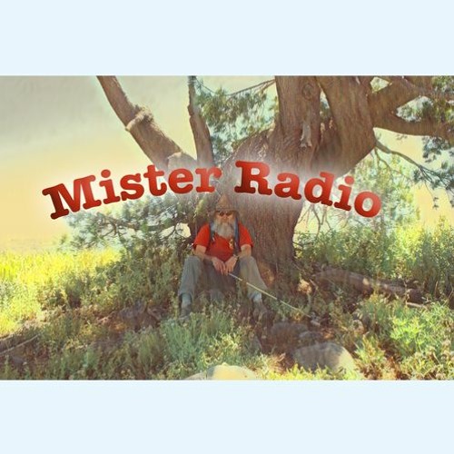 Stream Mister Radio 2025 Promo by Mister Radio | Listen online for free ...