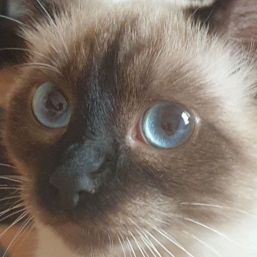 Stream turlajjj music | Listen to songs, albums, playlists for free on ...