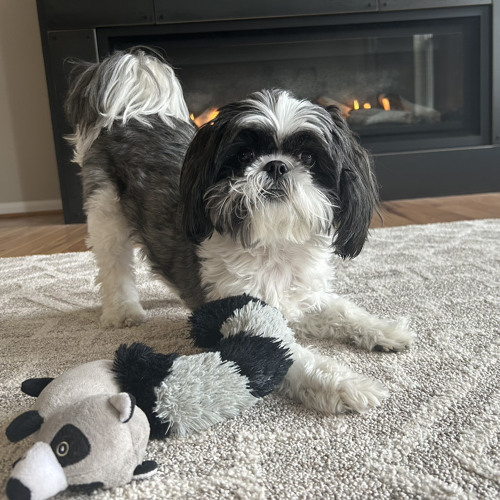 Stream Carly Topper music | Listen to songs, albums, playlists for free ...