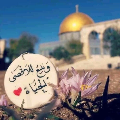 Stream May Akl music | Listen to songs, albums, playlists for free on ...