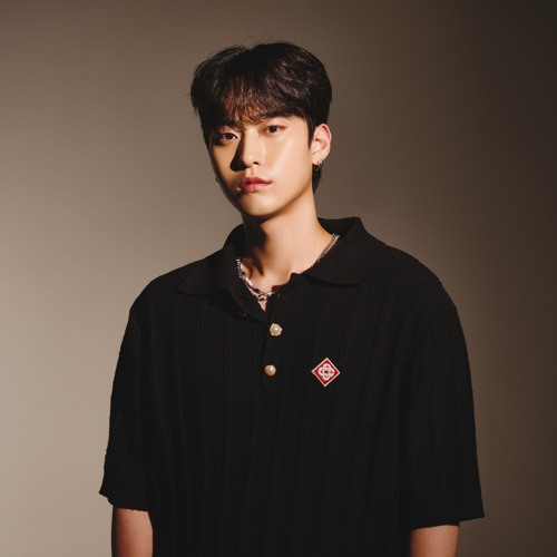 ASHID Tracks / Remixes Overview