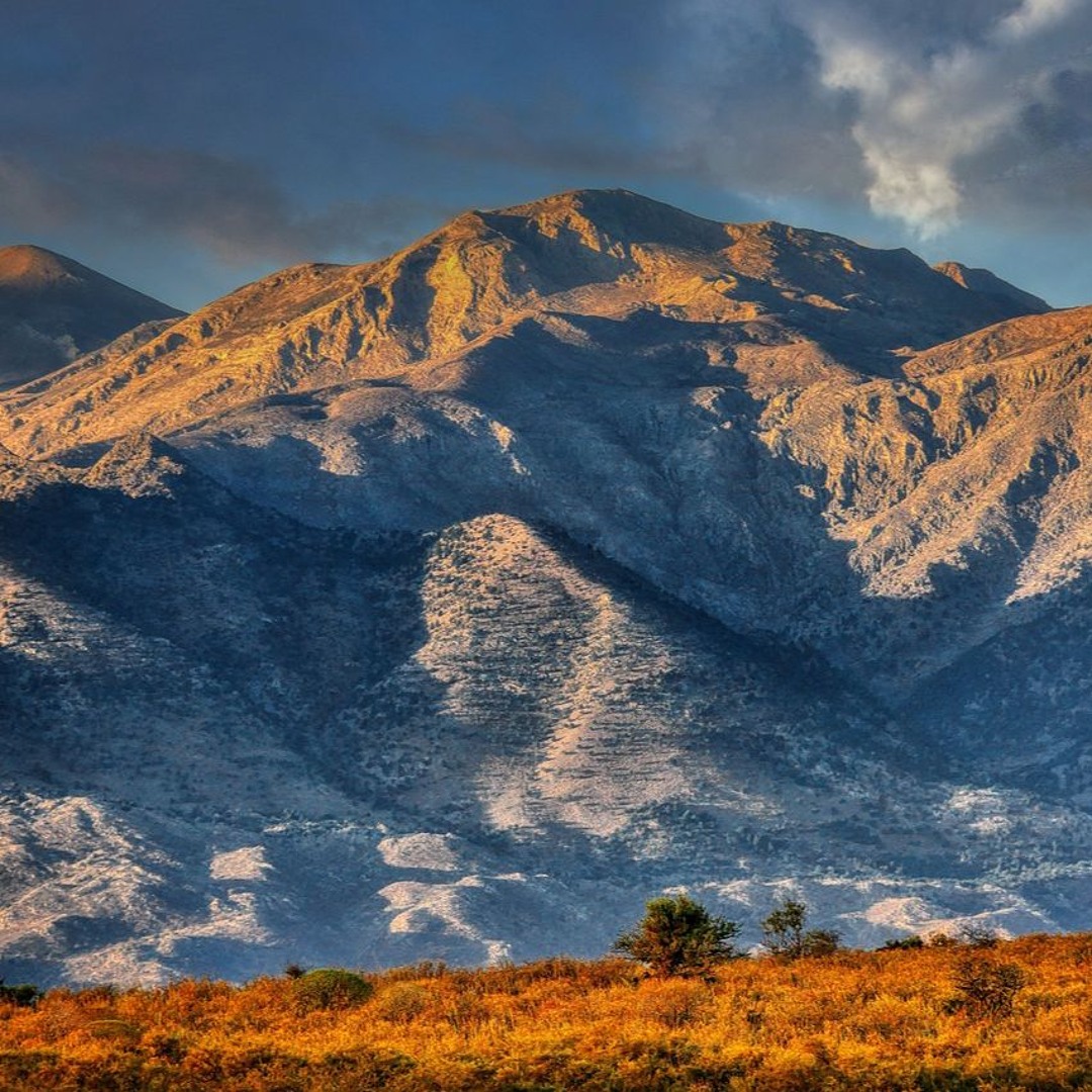 Stream Oliver Nguyen music | Listen to songs, albums, playlists for ...