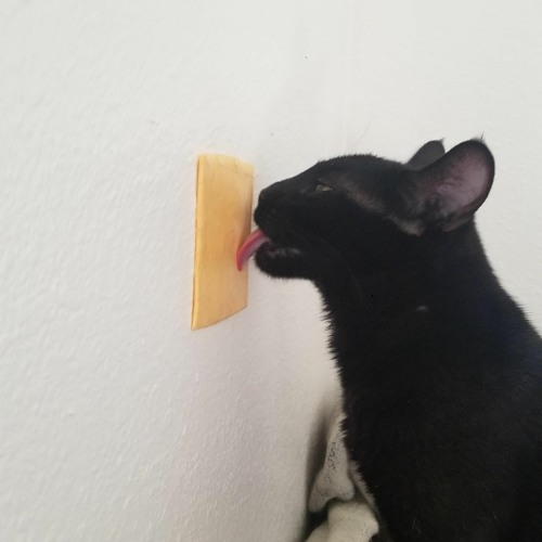 Stream p4kr music | Listen to songs, albums, playlists for free on ...