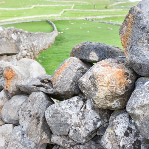Stream Smoot holes in stone walls for sheep and rabbits - Malcolm ...
