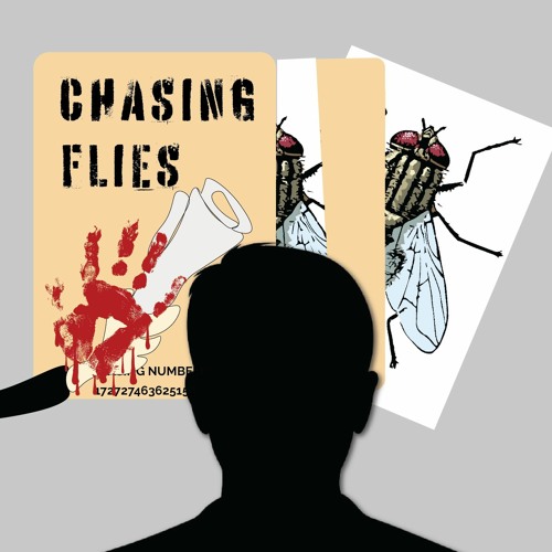 Stream Episode2 : The Disappearance of Margaret Ellen Fox by Chasing ...