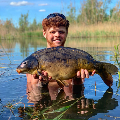 Stream George.G music | Listen to songs, albums, playlists for free on ...