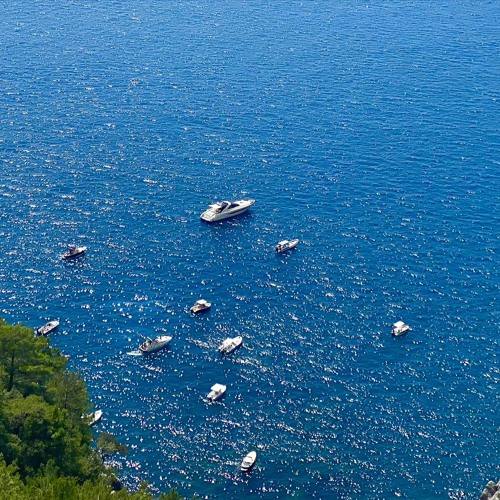 Stream Layal music | Listen to songs, albums, playlists for free on ...