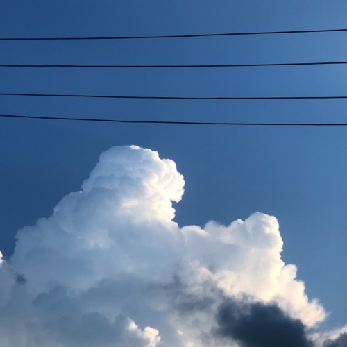 Stream ZxzZ music | Listen to songs, albums, playlists for free on ...