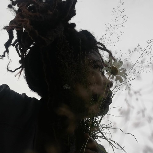 Stream Au Coin Du Monde by Keren Ann performed by the Adan Project by ...