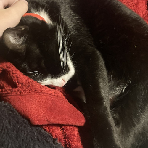 Stream Lucas Atkins music | Listen to songs, albums, playlists for free ...