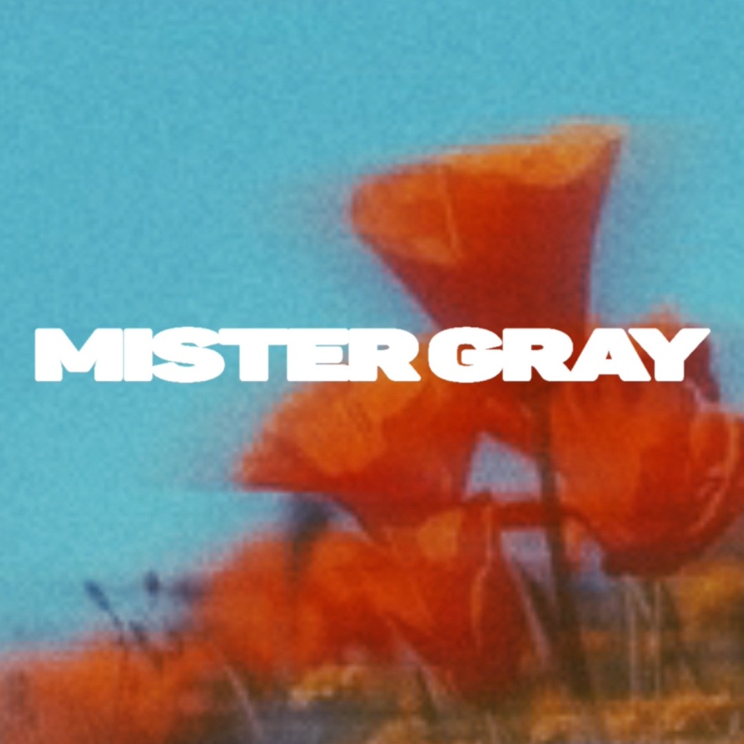 Stream Mister Gray music | Listen to songs, albums, playlists for free ...