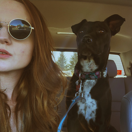 Stream Amber Butler music | Listen to songs, albums, playlists for free ...