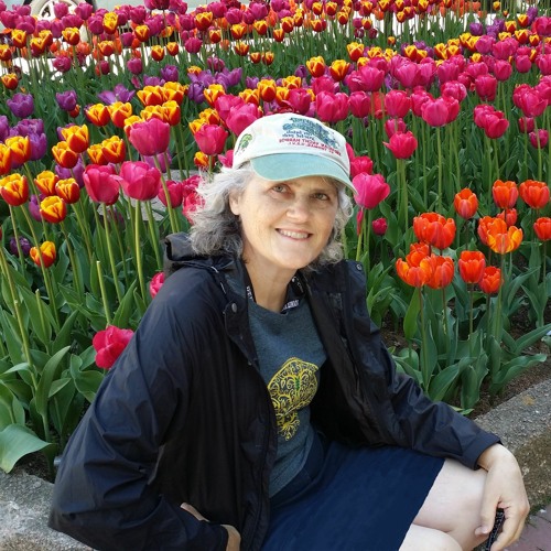 Stream Terry Kane Sings music | Listen to songs, albums, playlists for ...