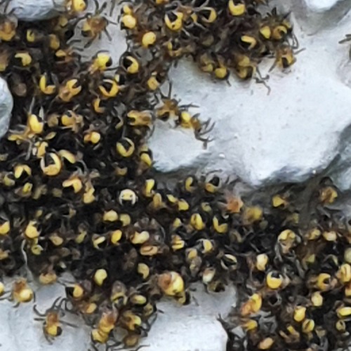 Stream Kaylab music | Listen to songs, albums, playlists for free on ...