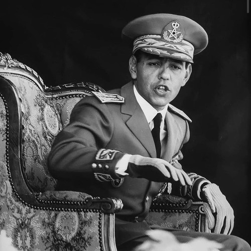 Stream Moe Trappa music | Listen to songs, albums, playlists for free ...