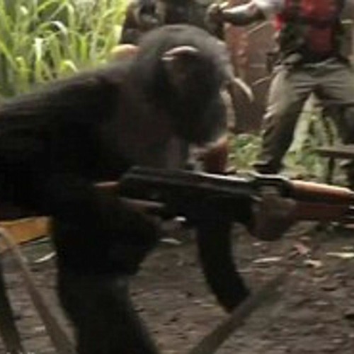 Stream isthat_Eavan music | Listen to songs, albums, playlists for free ...