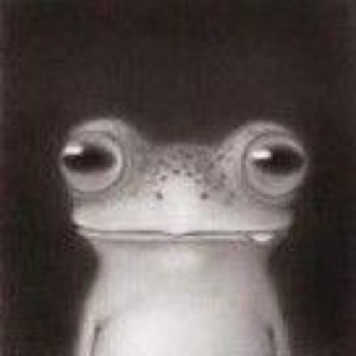 Stream fwogg music | Listen to songs, albums, playlists for free on ...