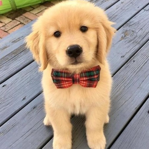 Stream Sheryl D. Landreth music | Listen to songs, albums, playlists ...