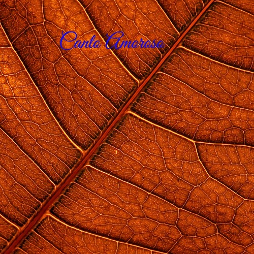 Stream Jessica Agee music | Listen to songs, albums, playlists for free ...